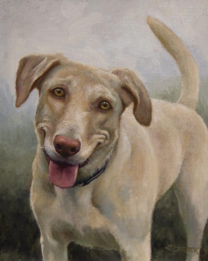 Dakota | Jody Gerber Studio